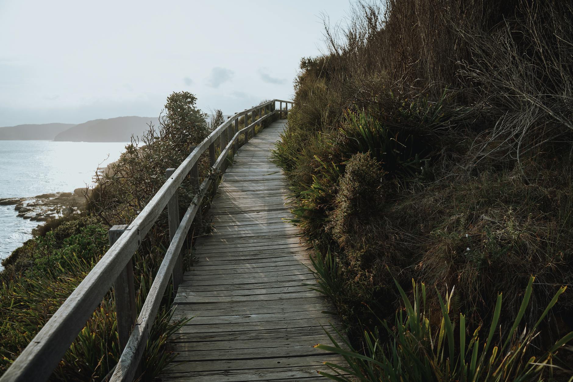 Bondi to Manly Walk 2026: 80 km Coastal Route & Itinerary